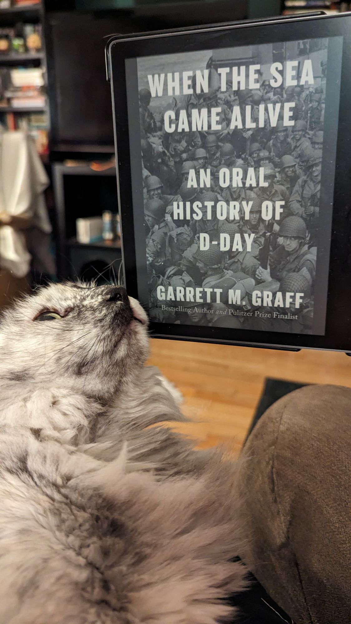 Every Read Thing | A Book Reader's Blog